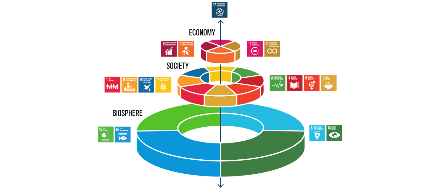 What are the Sustainable Development Goals? - TSN - The Sustainability ...